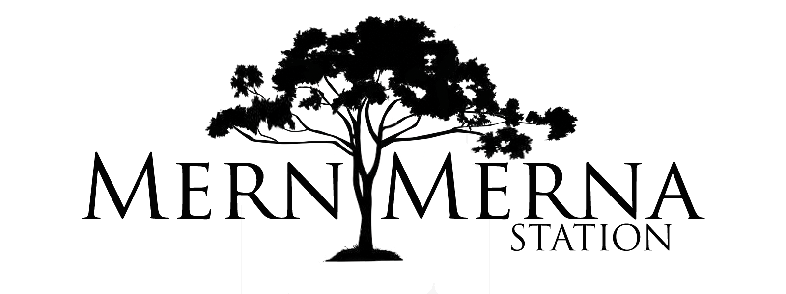 Mern Merna Station
