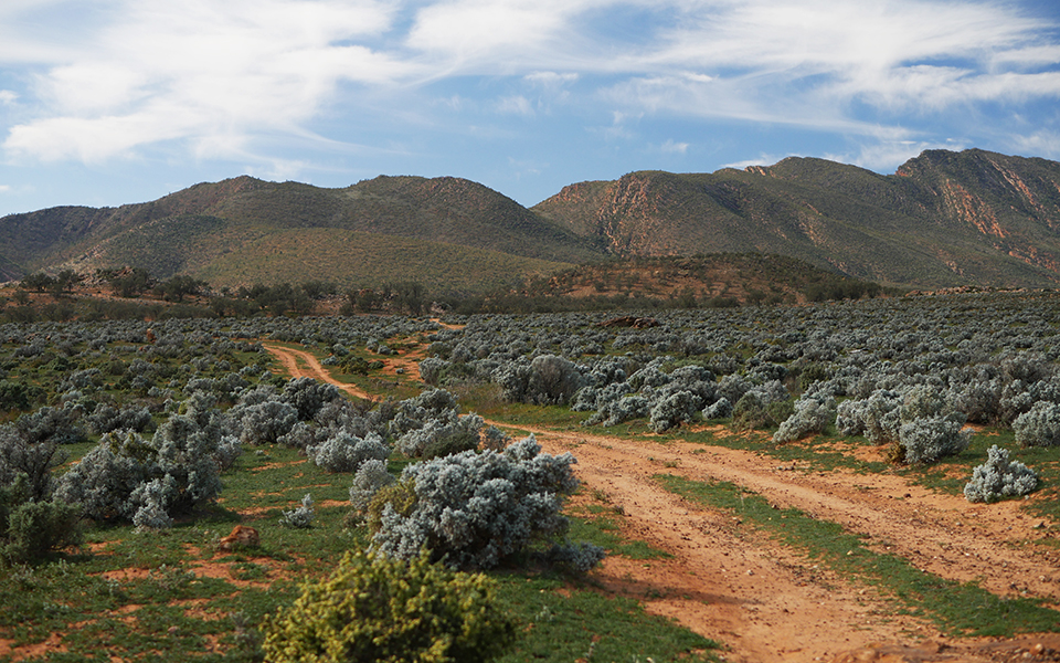 webpage | Mern Merna Station