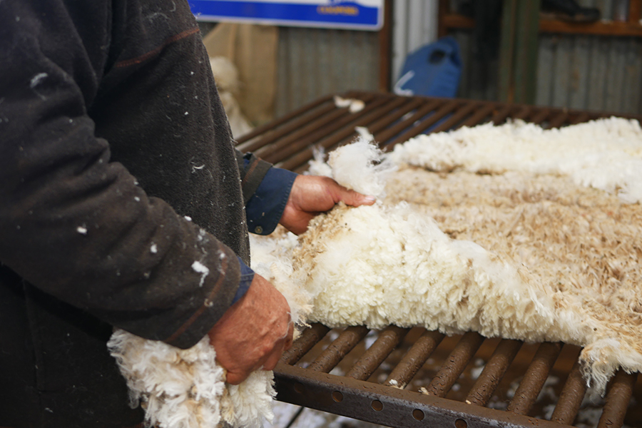Wool Picking | Mern Merna Station