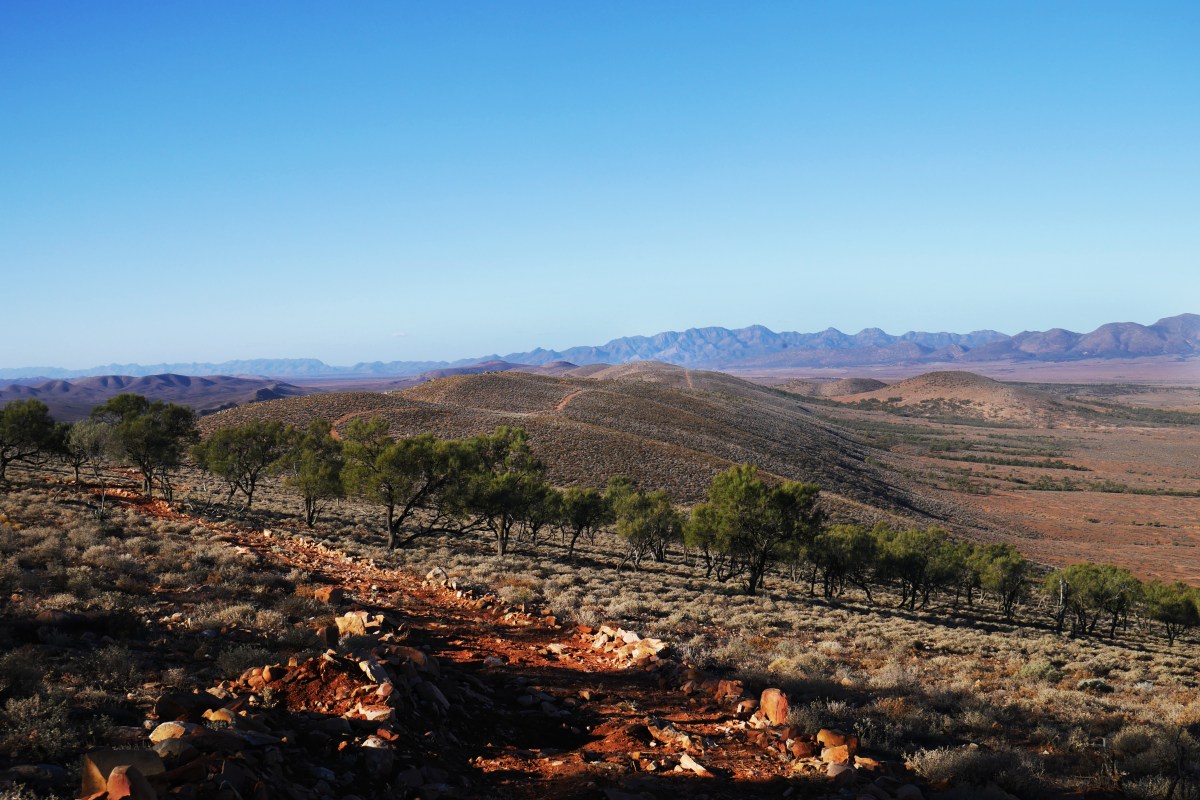 4WD Track | Mern Merna Station