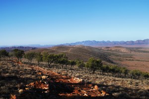 4WD Track | Mern Merna Station